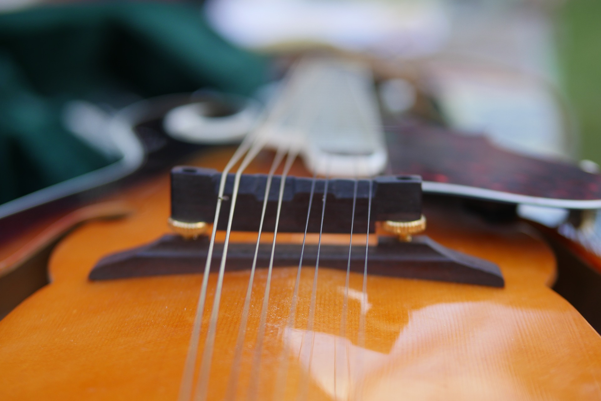 Quel type de cordes convient aux violons? - Conseils de luthier