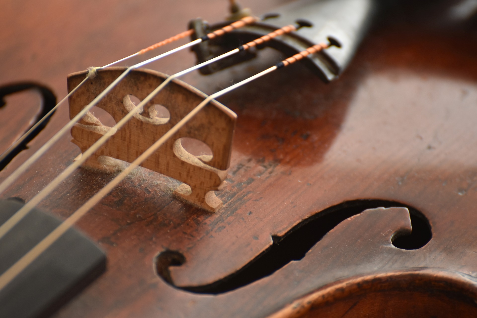 Comment changer les cordes de votre instrument de musique ? - Conseils ...